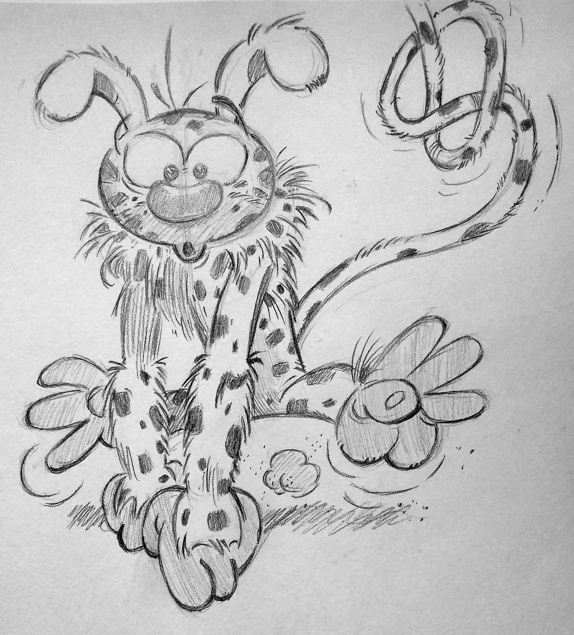 marsupilami coloring pages