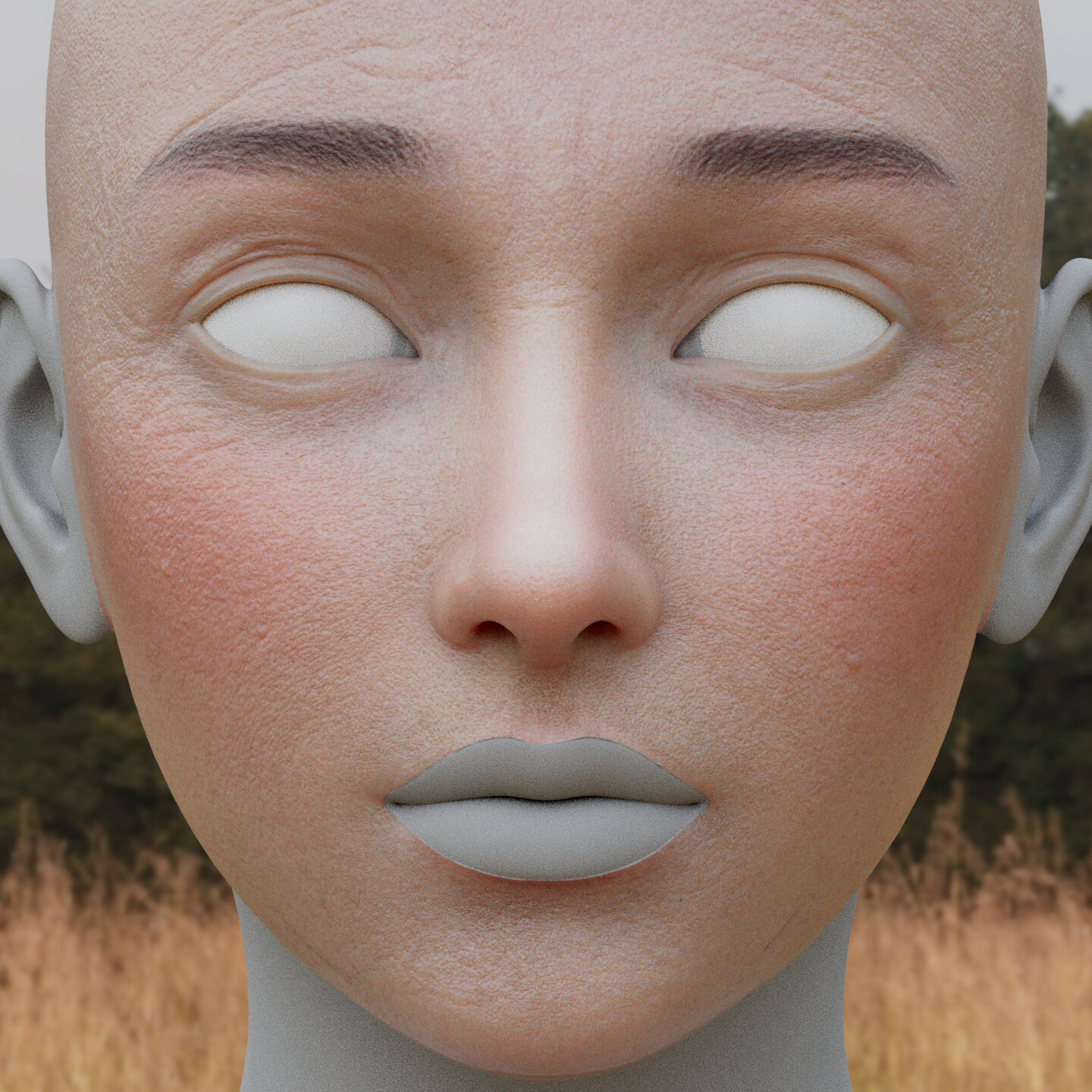 ArtStation - Girl skin surfacing R&D