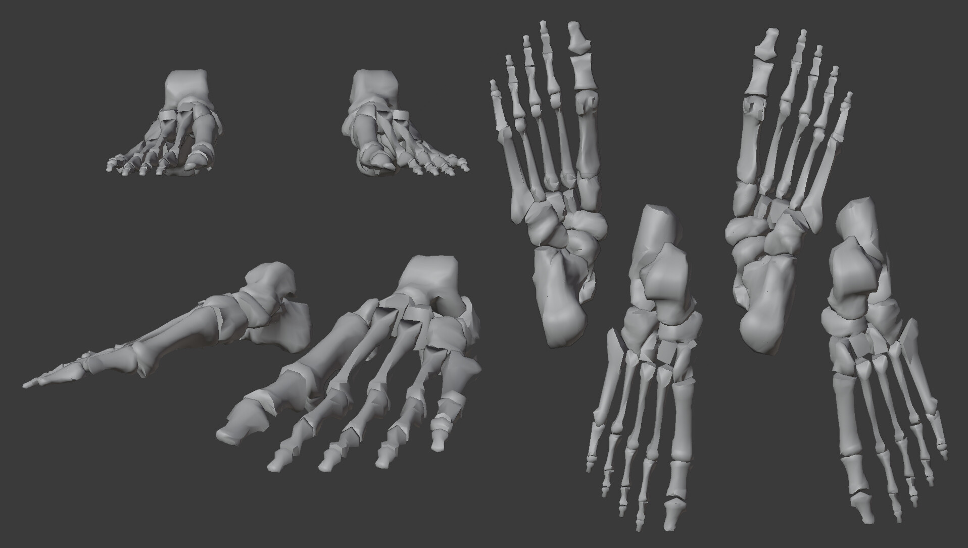 AAA Studios - Anatomy Study WIP Human Skeleton