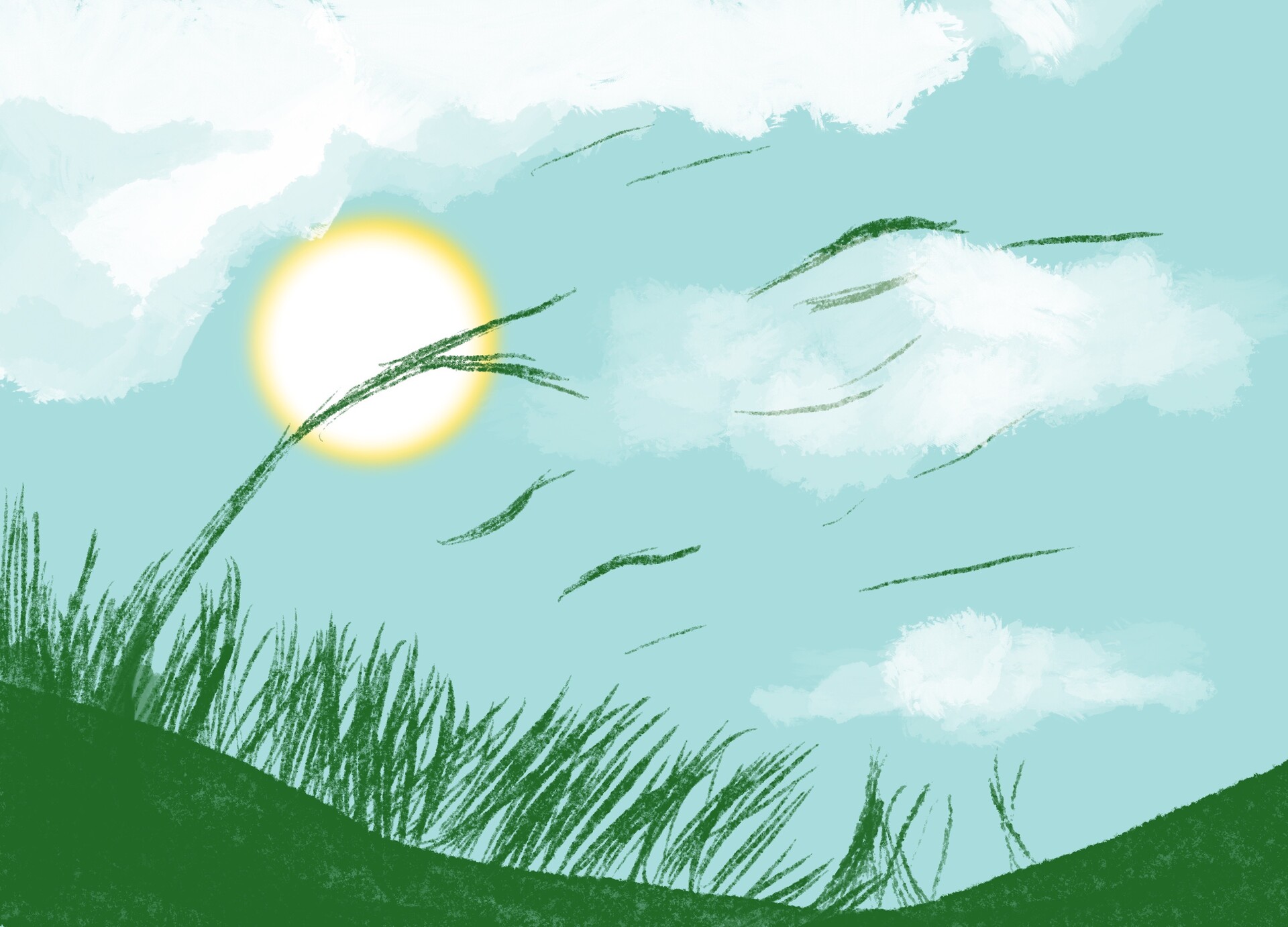 Artist zaro zaro - Feild