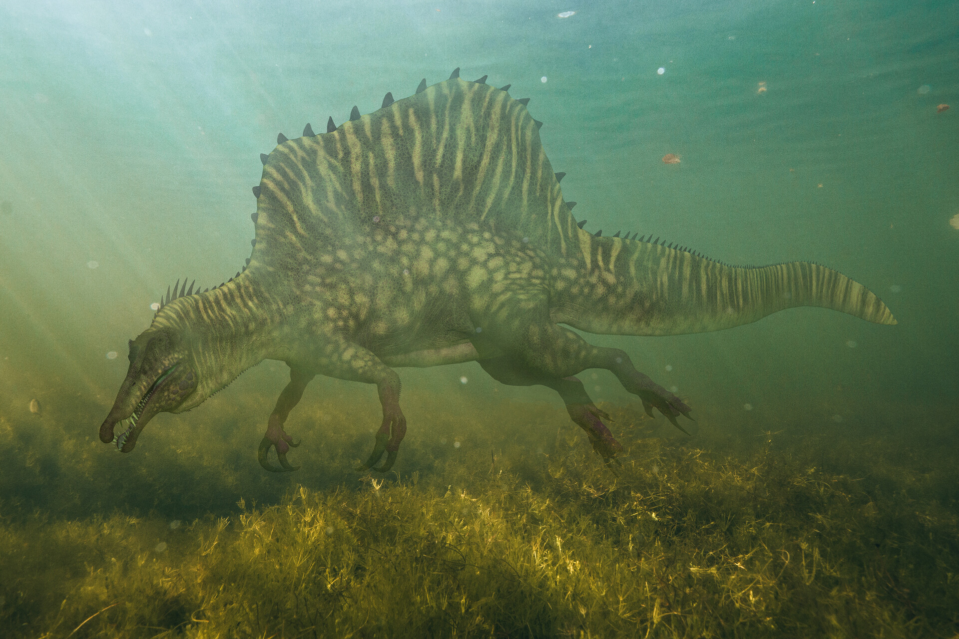 Spinosaurus: River Dino by Arthur Dorety — ProUser.Me