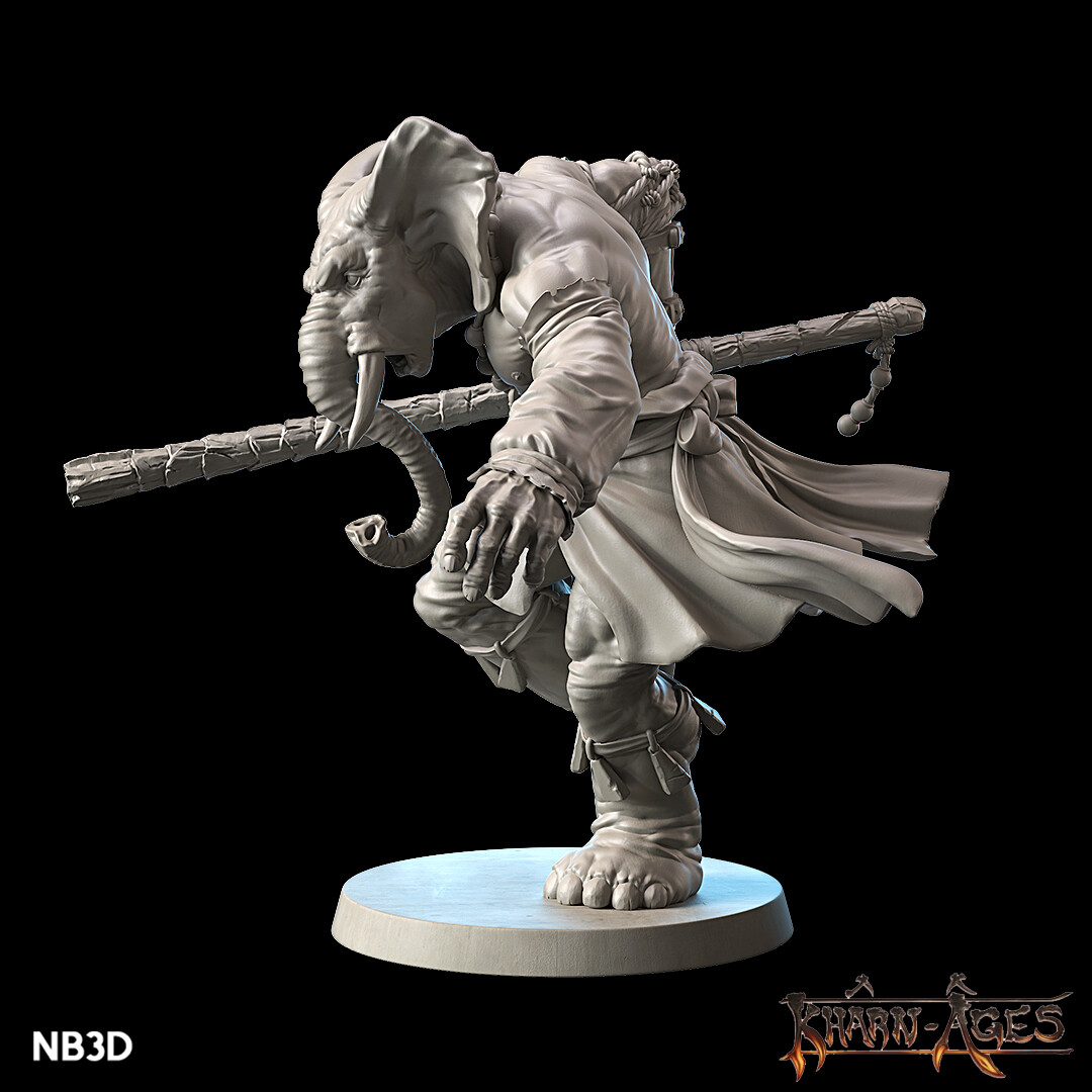 Nicolas BIGEARD - Tembo _ Novice