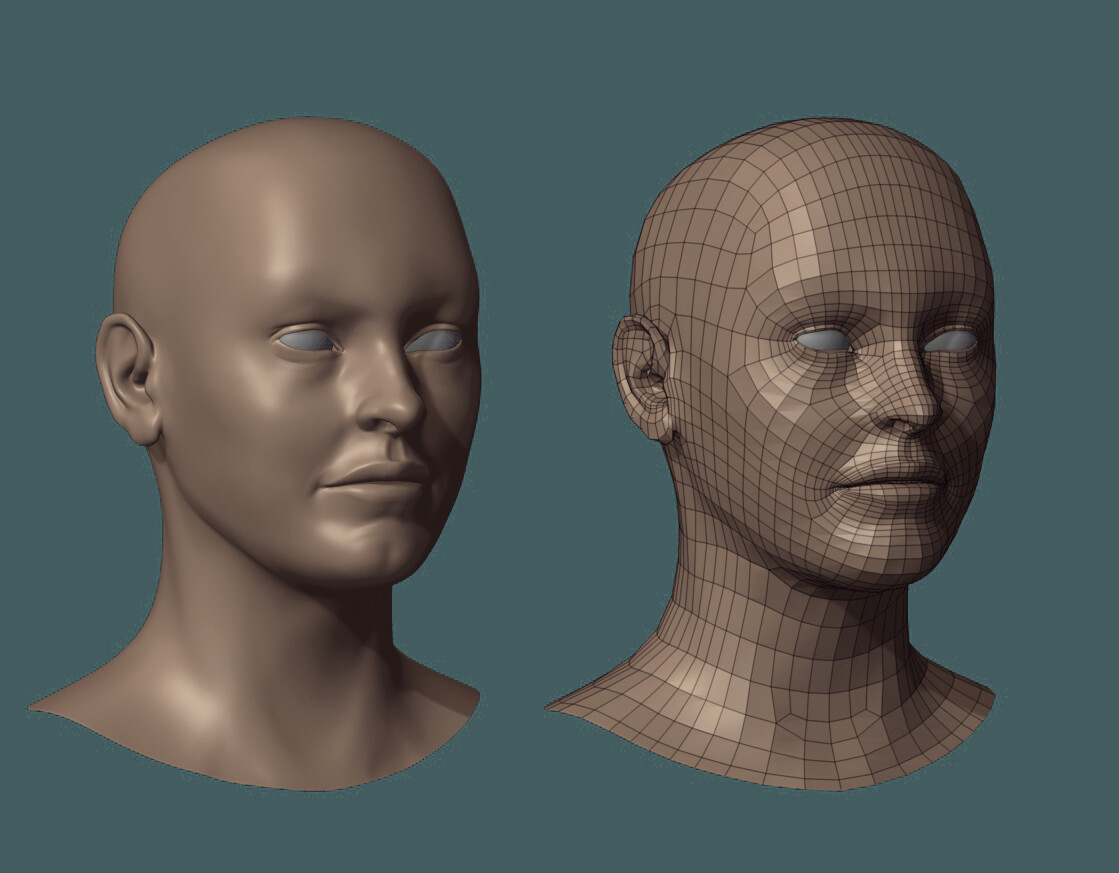 ArtStation - Face Topology