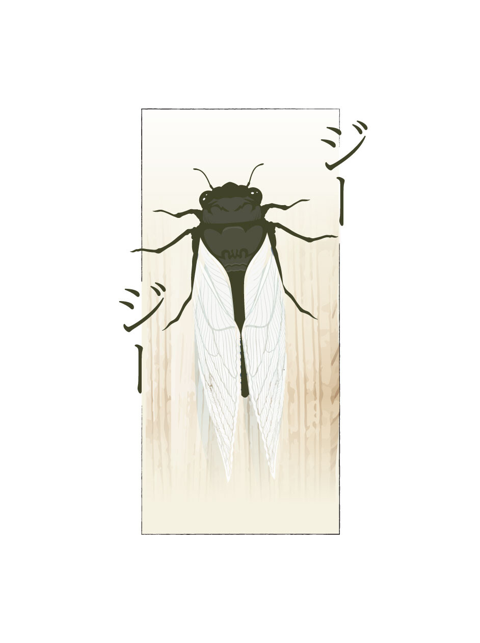 ArtStation - Summer Cicada