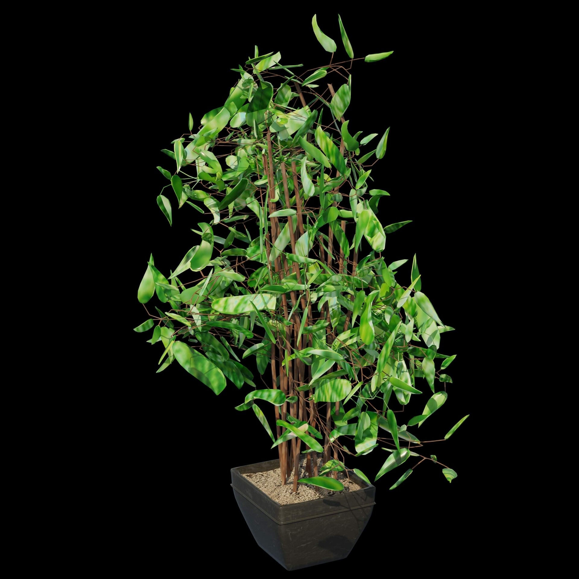 ArtStation - Large House Plant Game Asset for Indie Horror Game ...