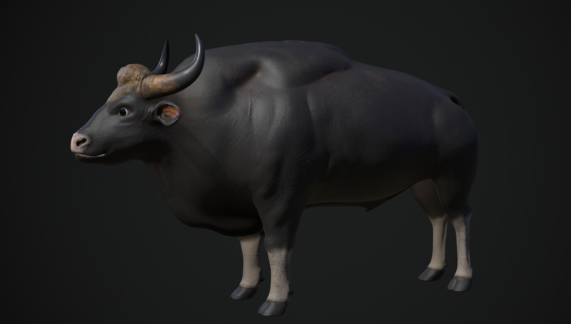 ArtStation - Bison Anatomy Study Personal Project
