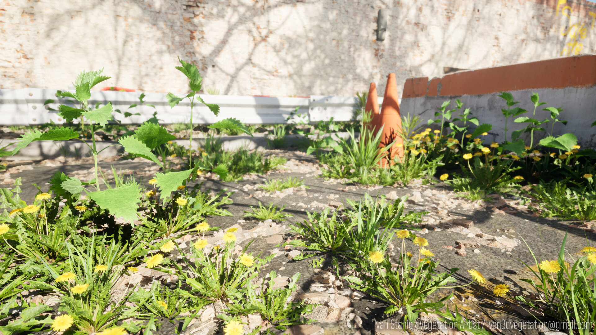 Ivan Stanic - Ground Pack Foliage