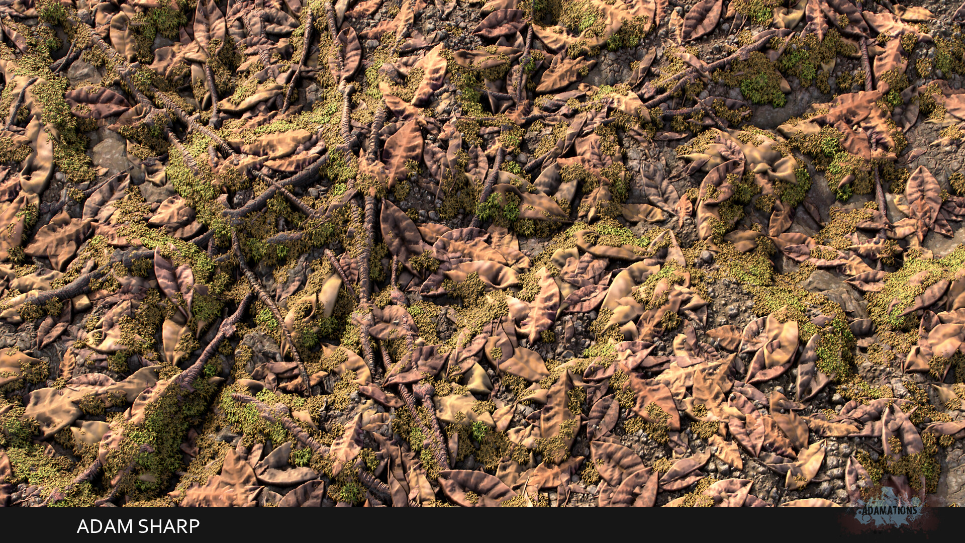 Adam sharp - Forest Dead Leaves