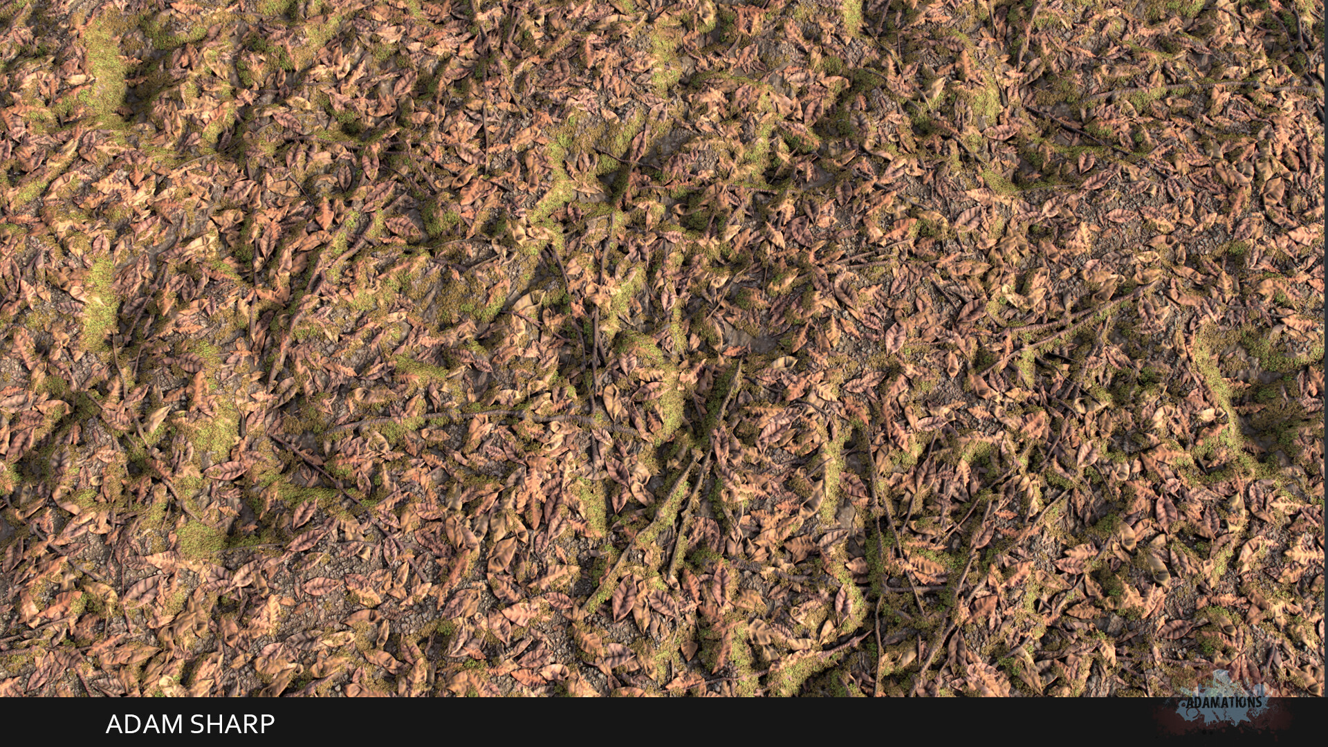 Adam sharp - Forest Dead Leaves