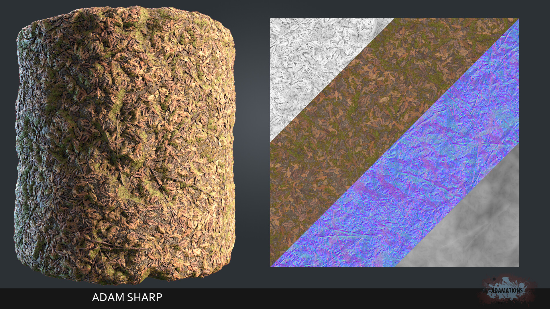 Adam sharp - Forest Dead Leaves