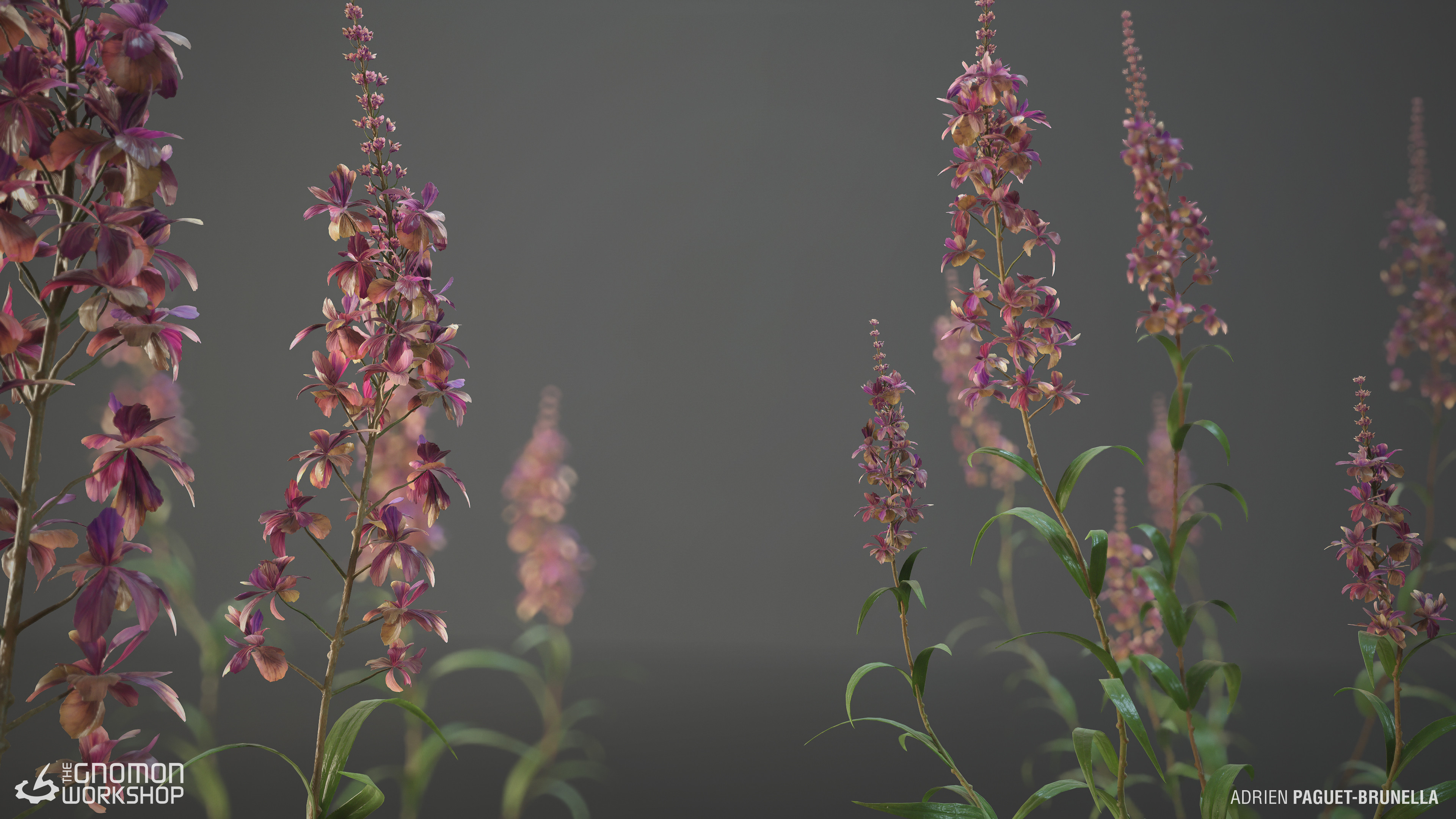 adrien-paguet-brunella-adrienpaguetbrunella-gnomonworkshop-flowersb.jpg ...