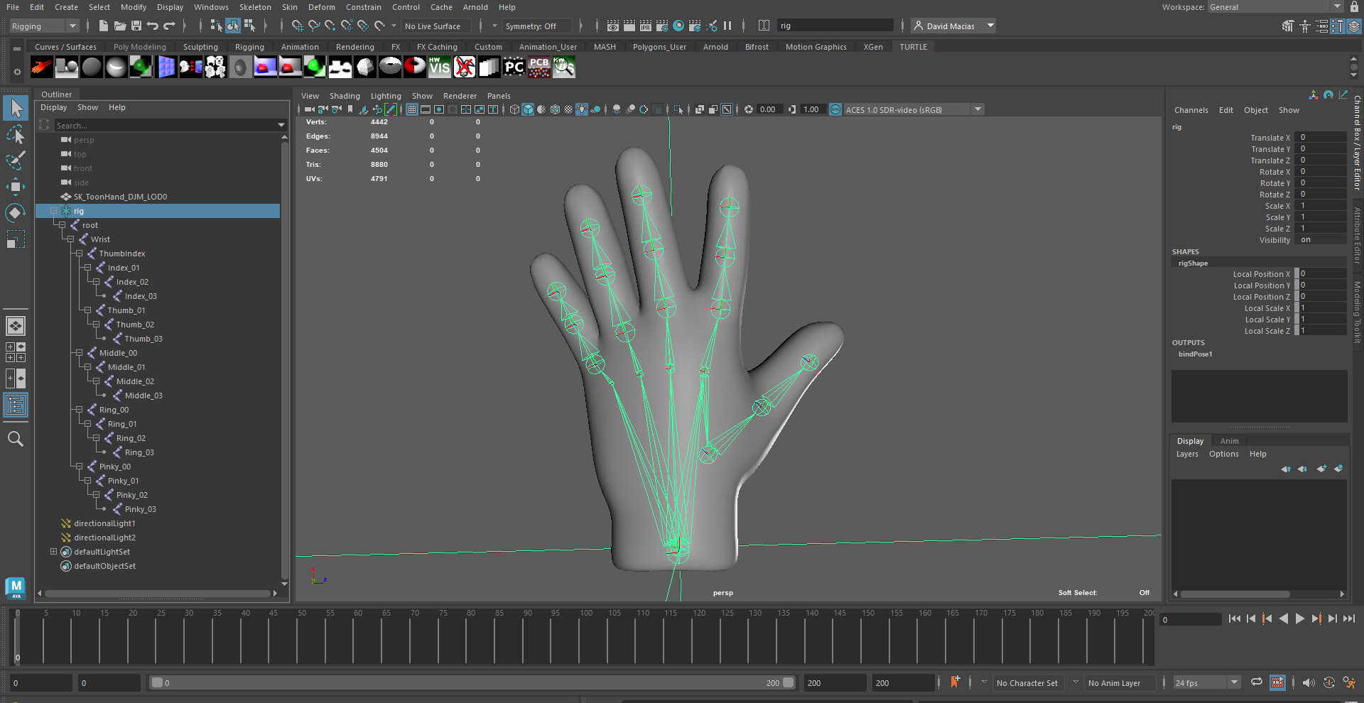 David Macias - VR Toon Hands
