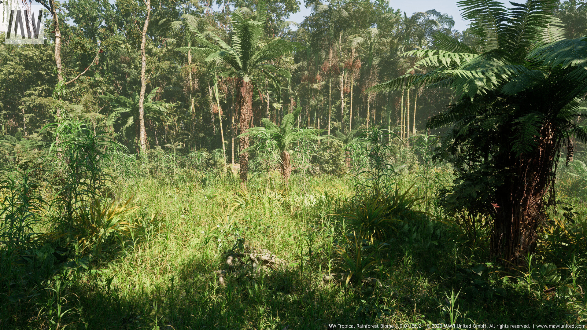 MAWI United - UE5.2 Tropical Rainforest Biome