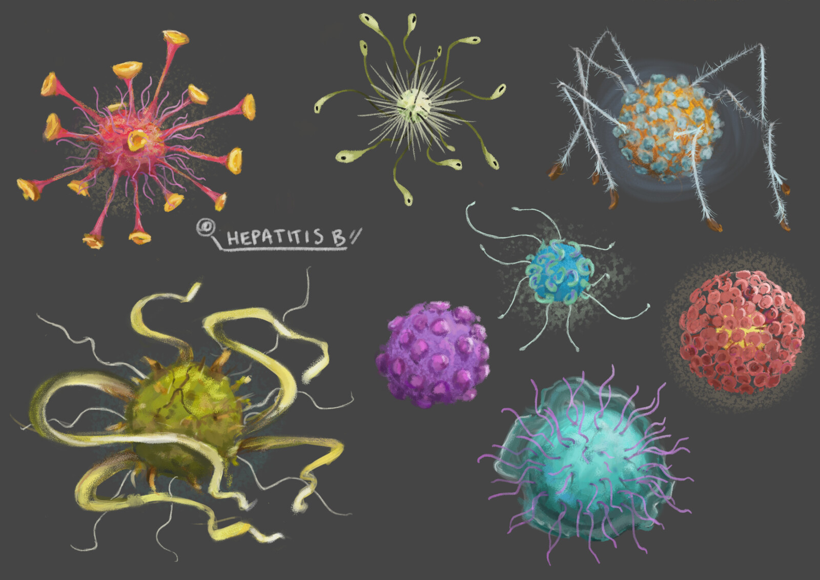 Moyra Donnelly - Hepatitis B Medical Visualisation