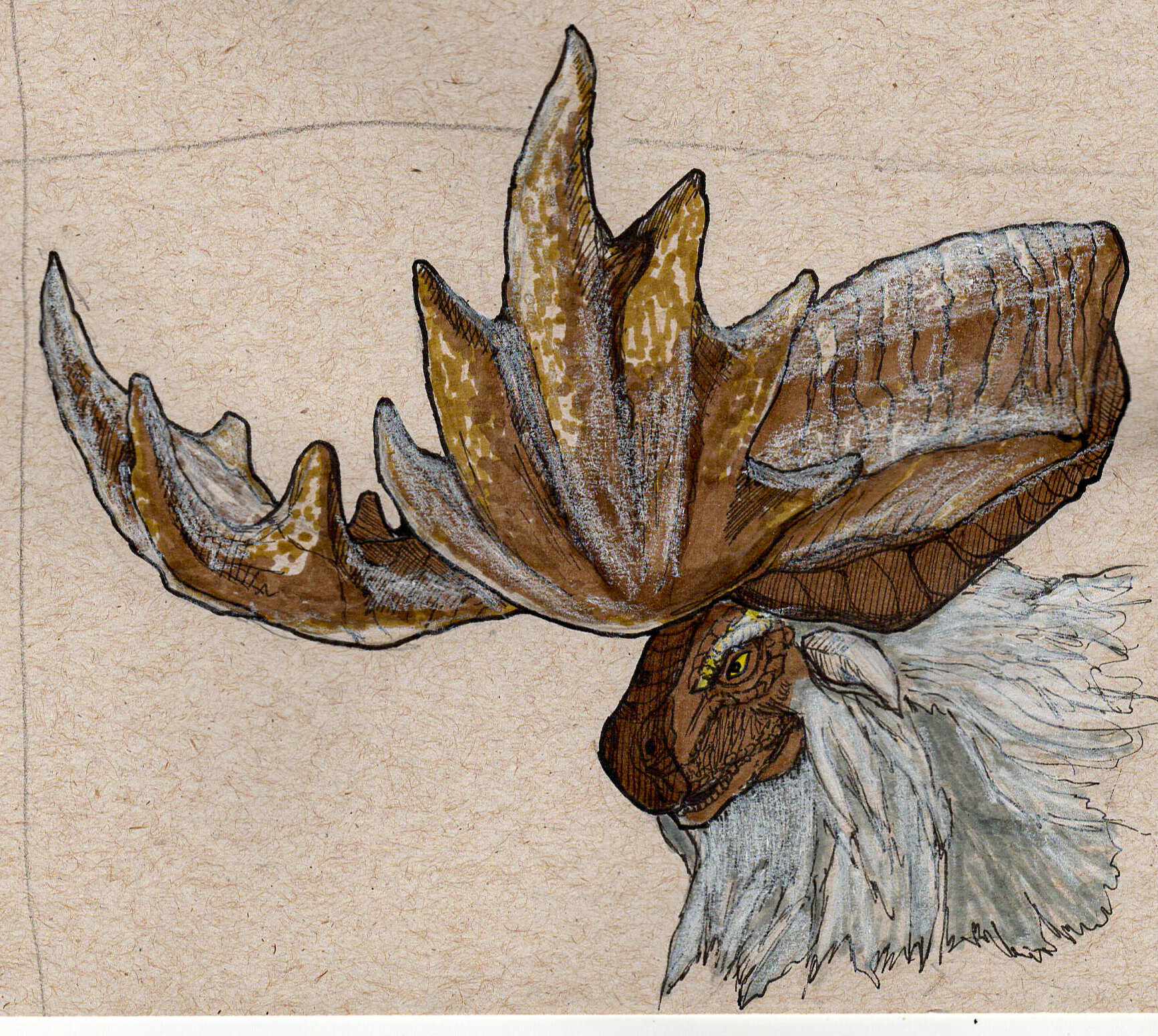 ArtStation - Day 88 of 365 (Banbaro)