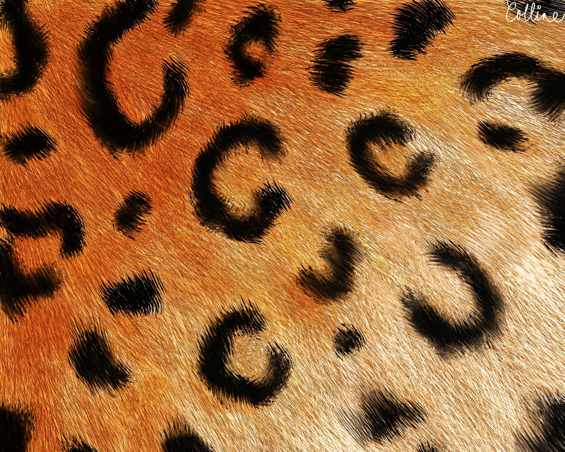 ArtStation - LEOPARD TEXTURE
