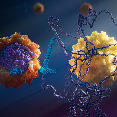 Kirill Wygranenko - Portfolio