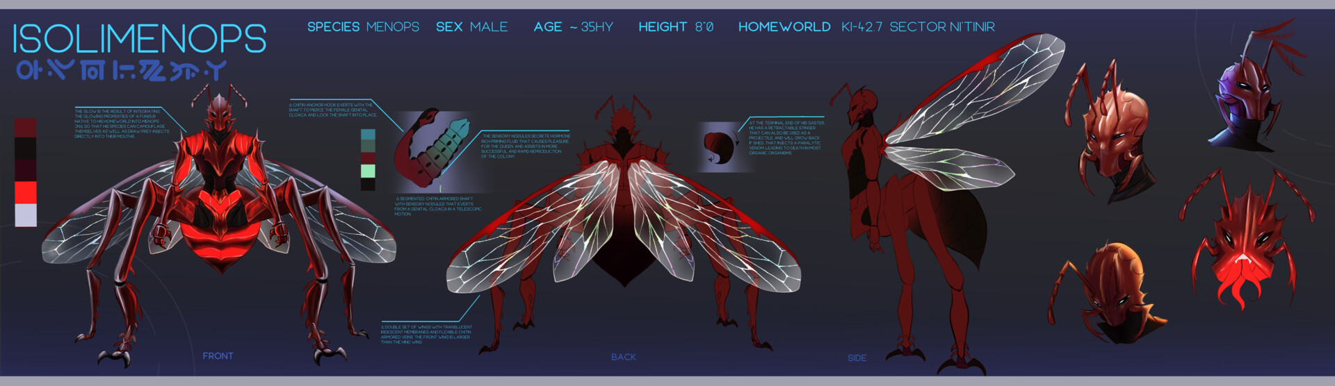 ArtStation - My Ant Monster Mate - Designs sheet