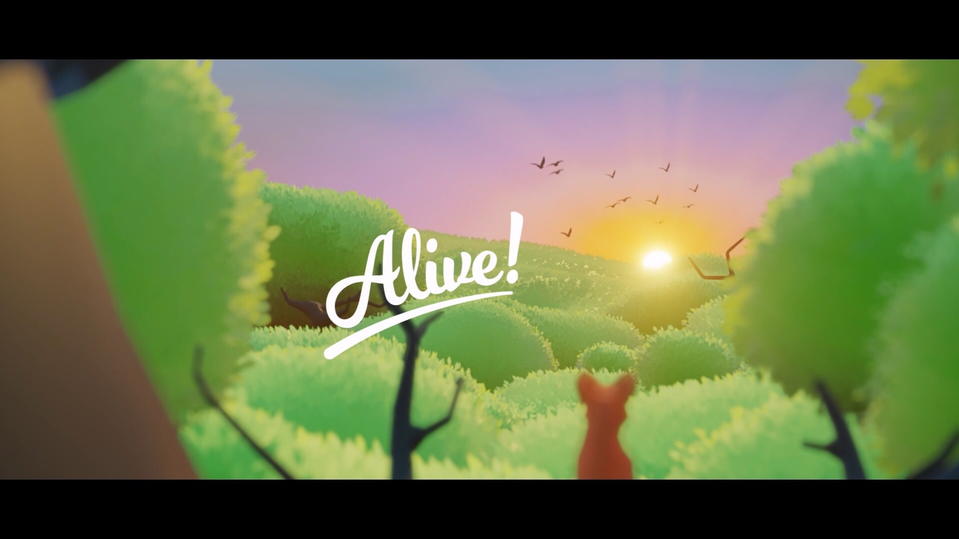 ArtStation - Squirrel Animation | Alive!