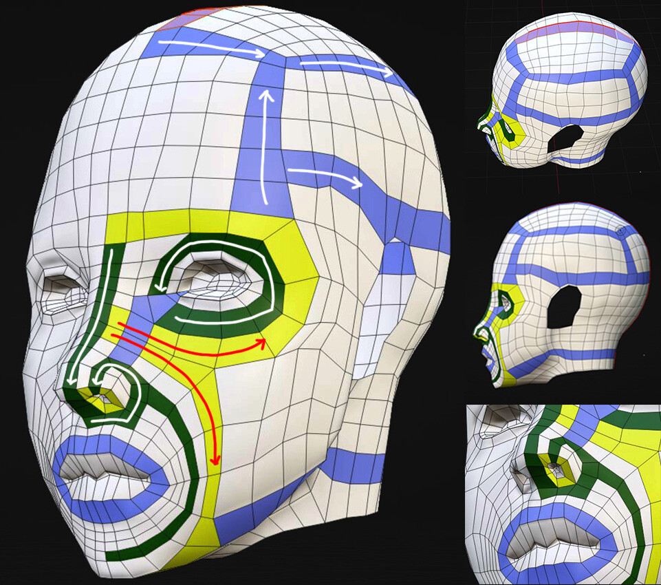 ArtStation - Understanding Topo Flow Easy Guide