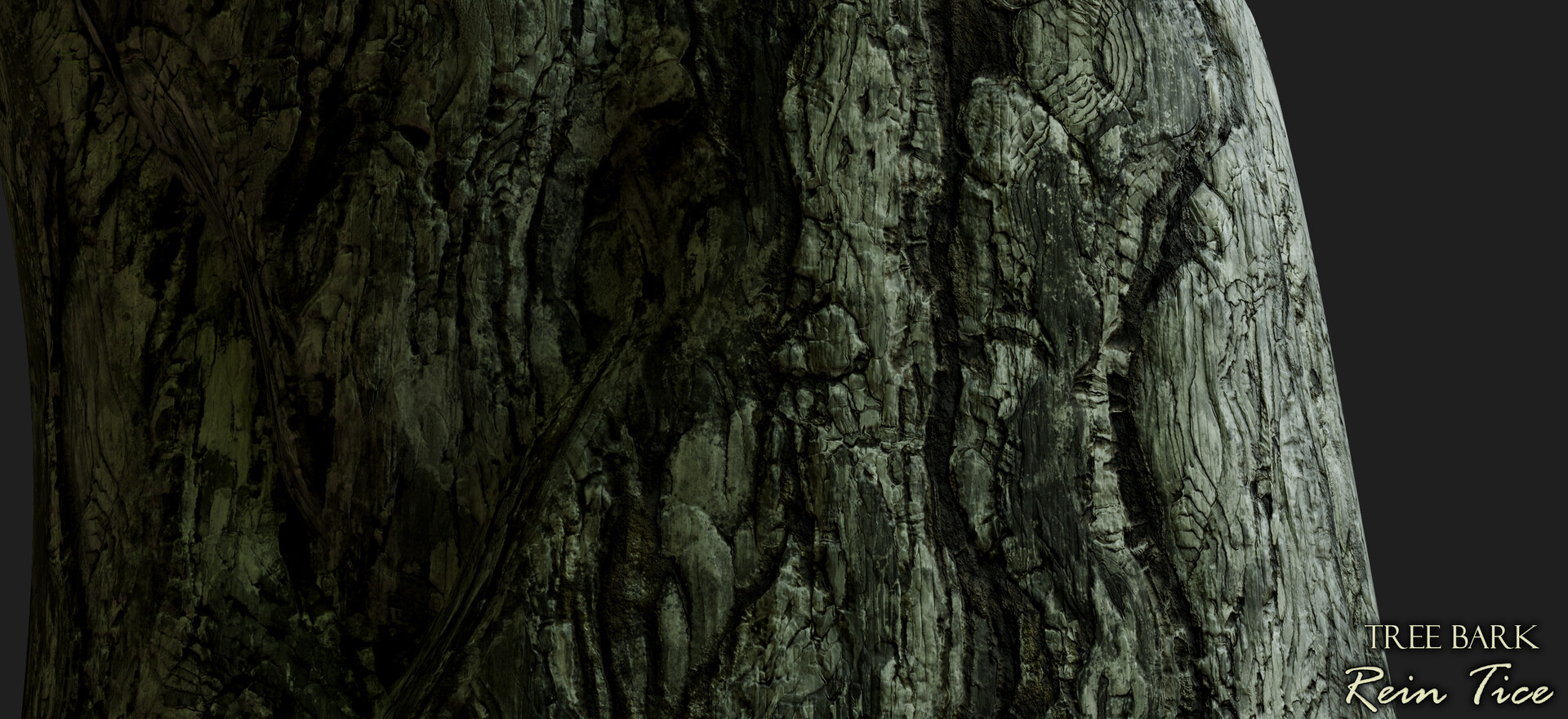 Rein Tice - Tree Bark Substance Material