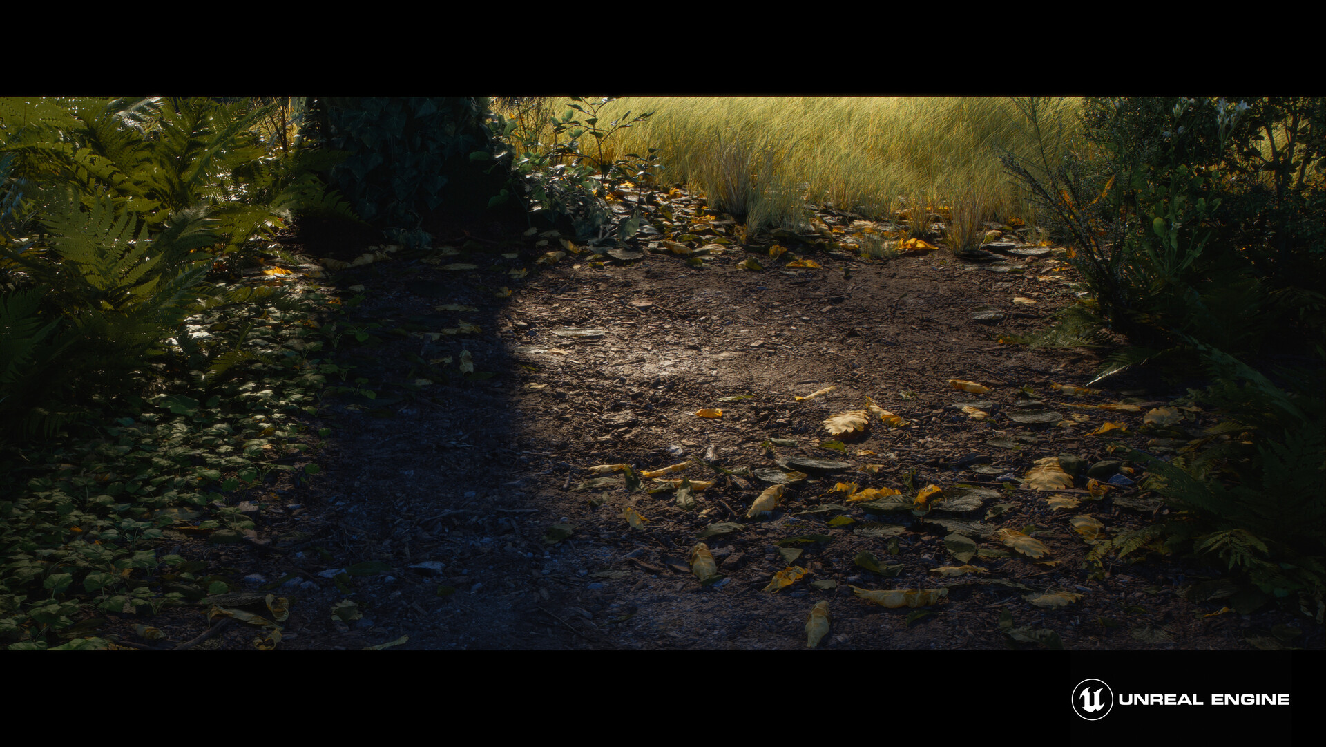 Robyn Julien - CASTLE