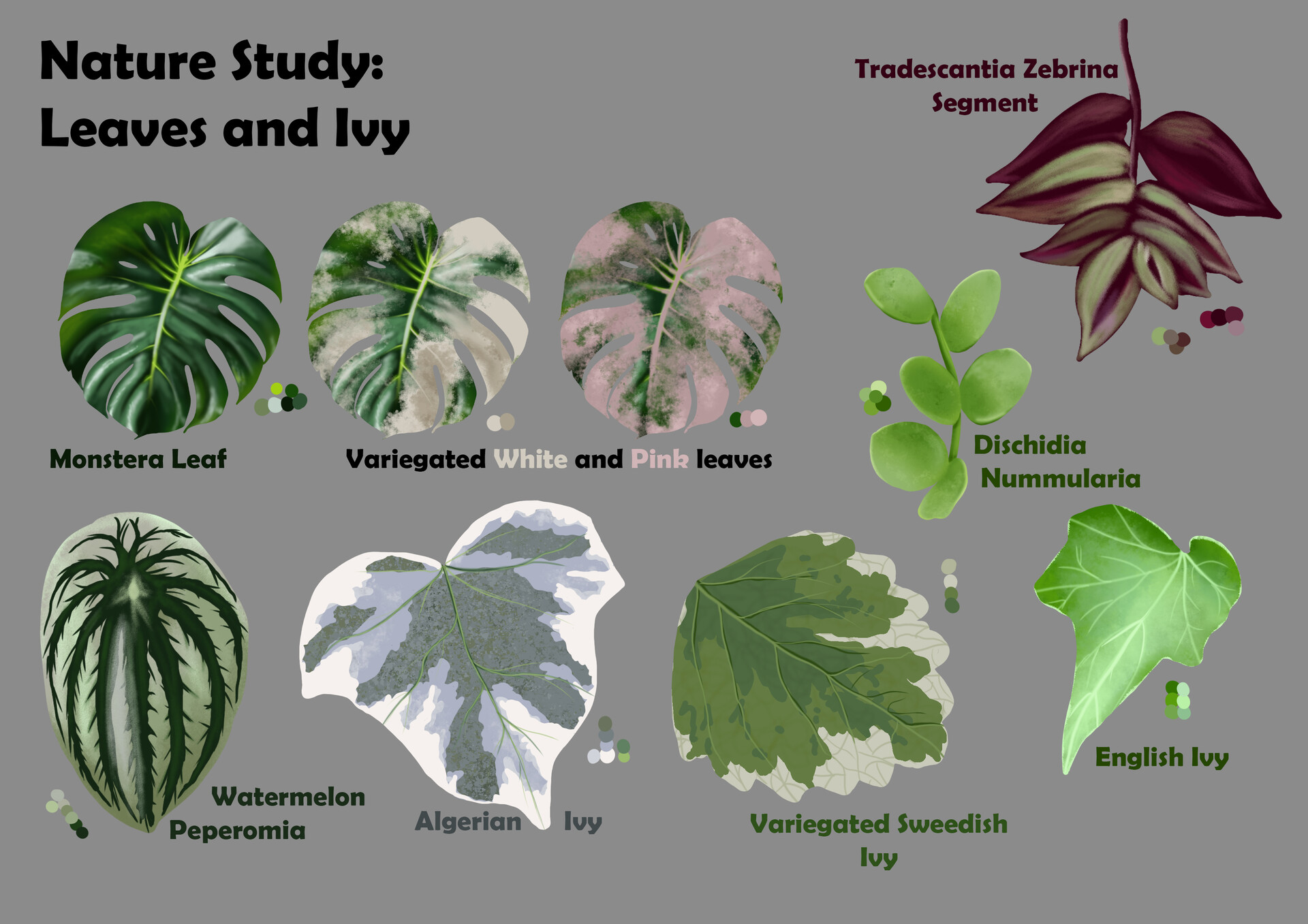 ArtStation - Leaf and Ivy Study