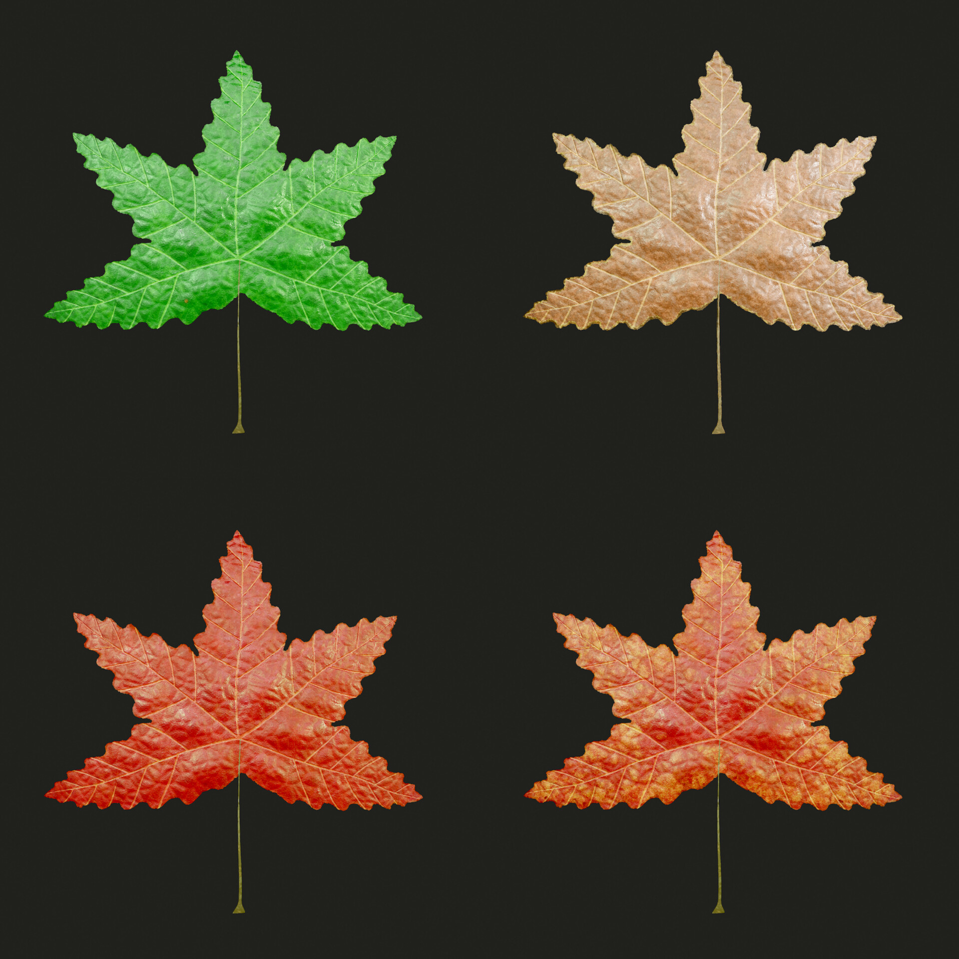 Caleb Tate - Leaf Generation