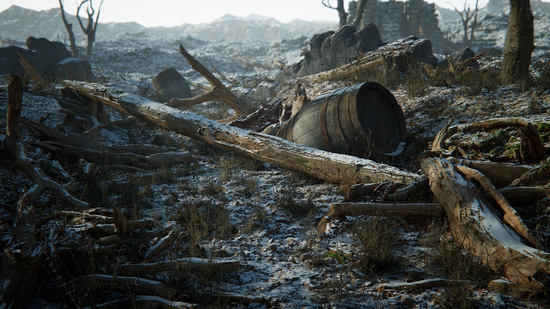 arnold background maya