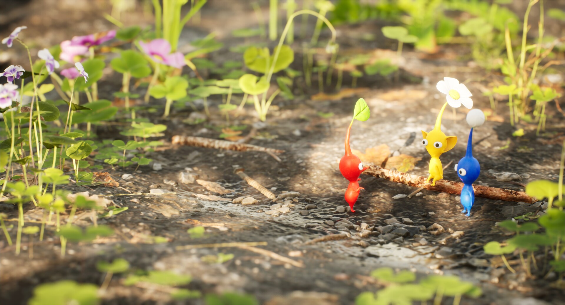 Adrian Alanis - Pikmin Exploration