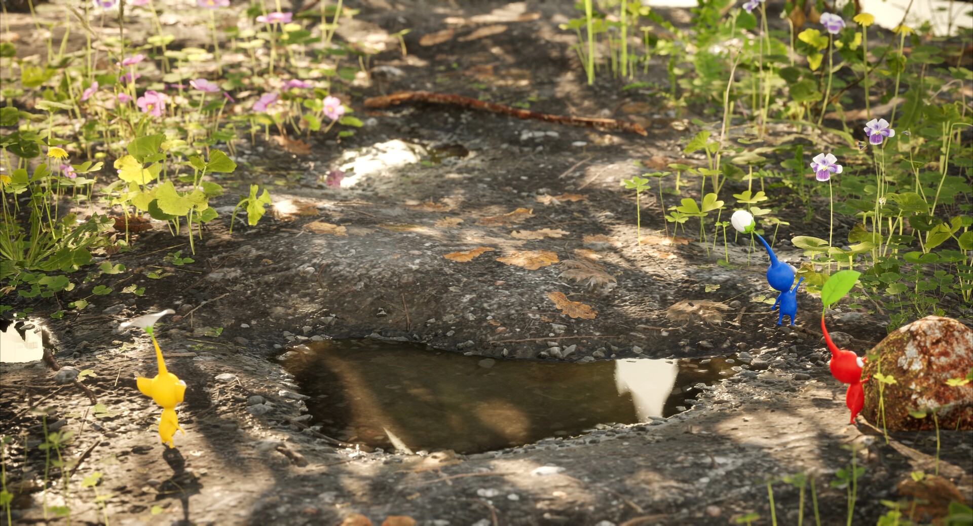 Adrian Alanis - Pikmin Exploration