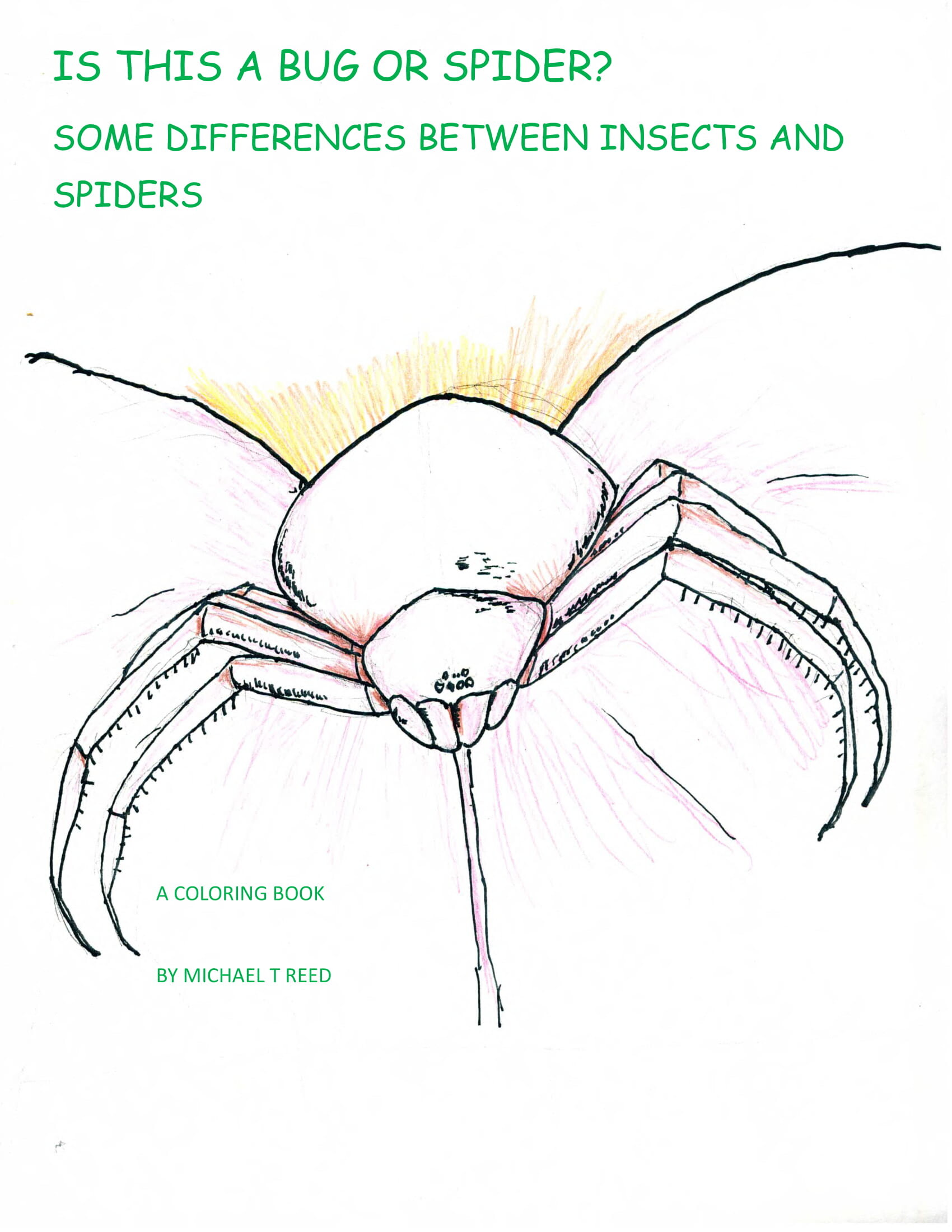 ArtStation - Bug and Spider Coloring Book Cover