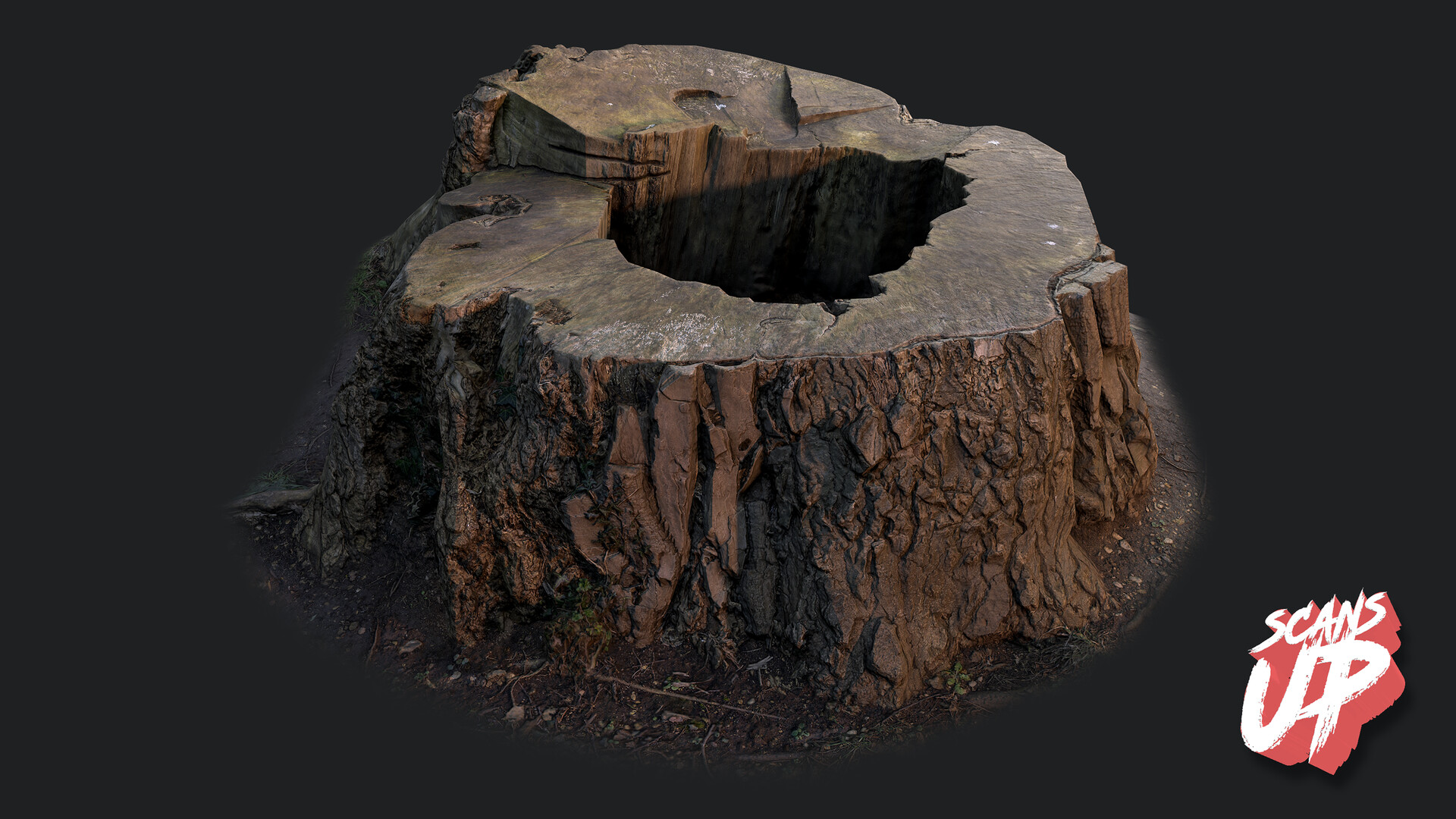 David Chumilla - ScansUp: Stump 01 - Photogrammetry Asset
