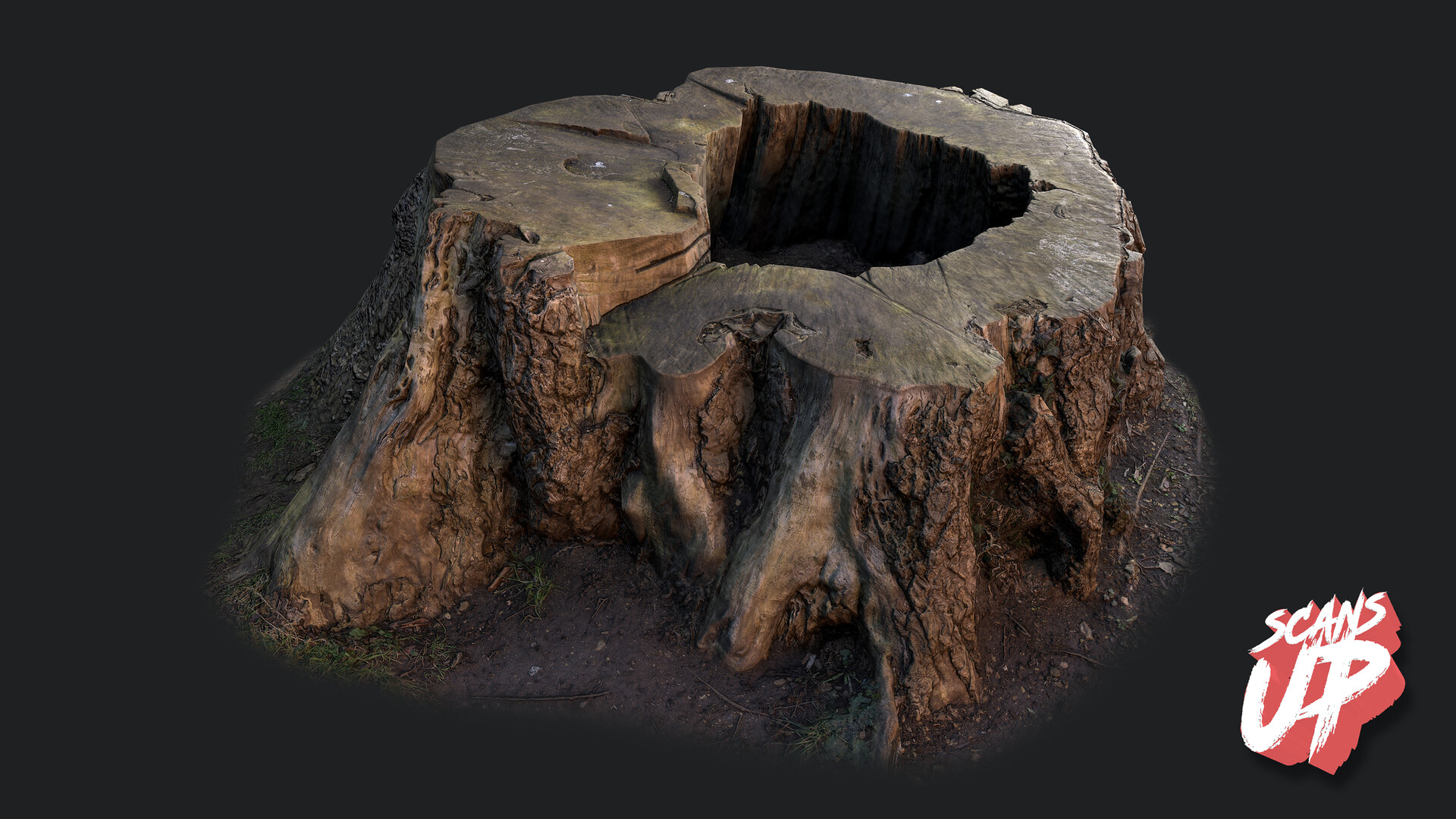 David Chumilla - ScansUp: Stump 01 - Photogrammetry Asset