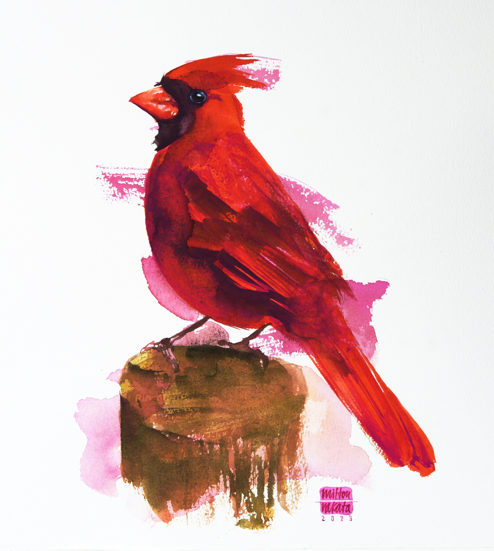ArtStation - Birds Series in Gouache