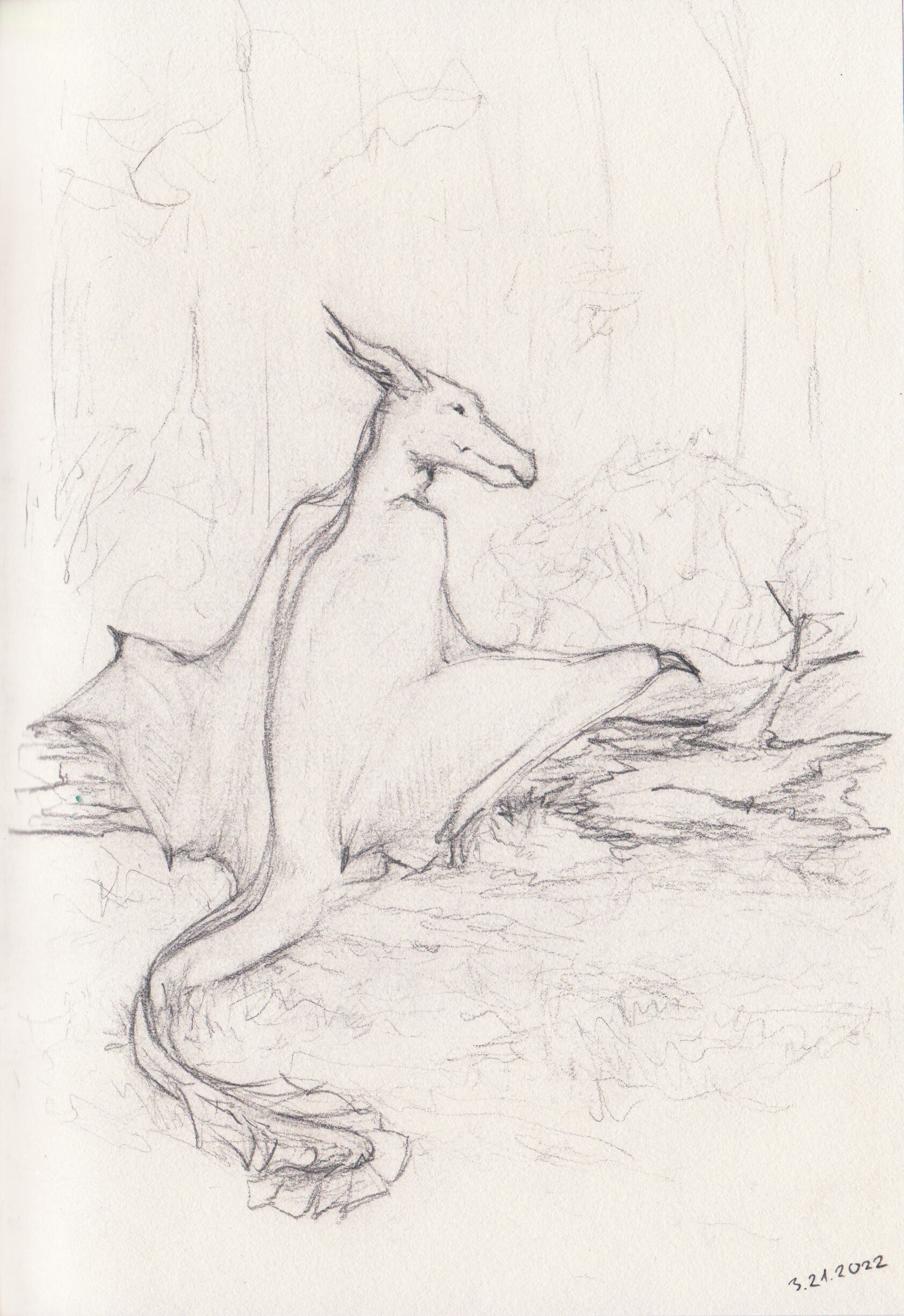 how to draw a dead kangaroo