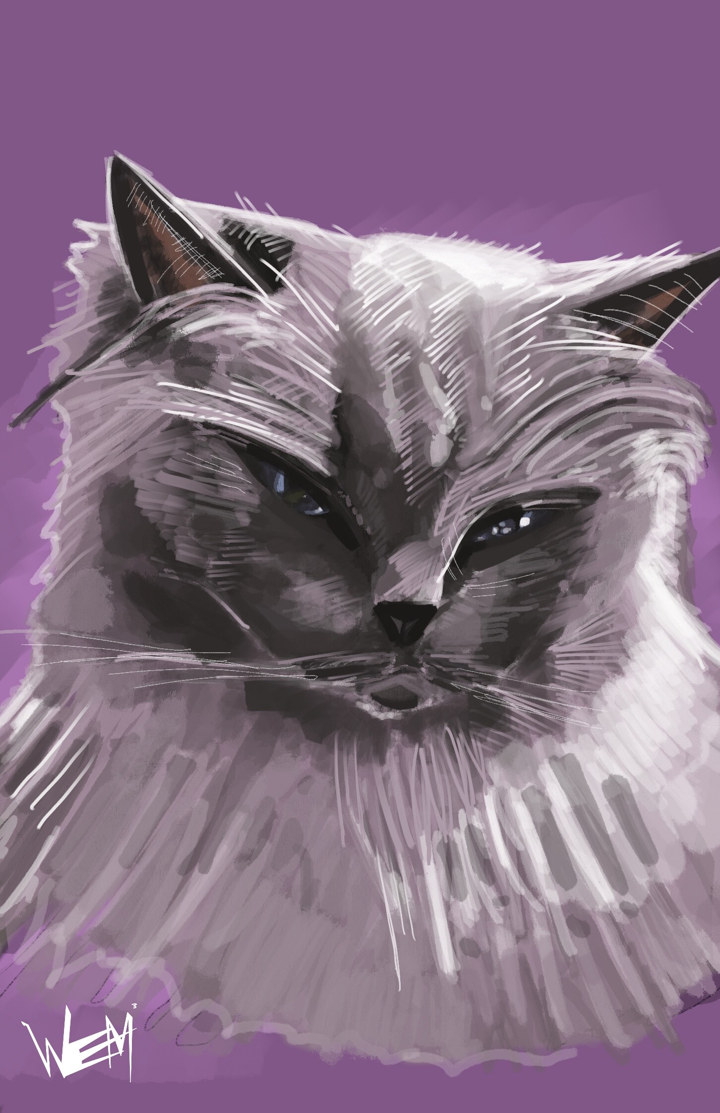 ArtStation - Cat Study