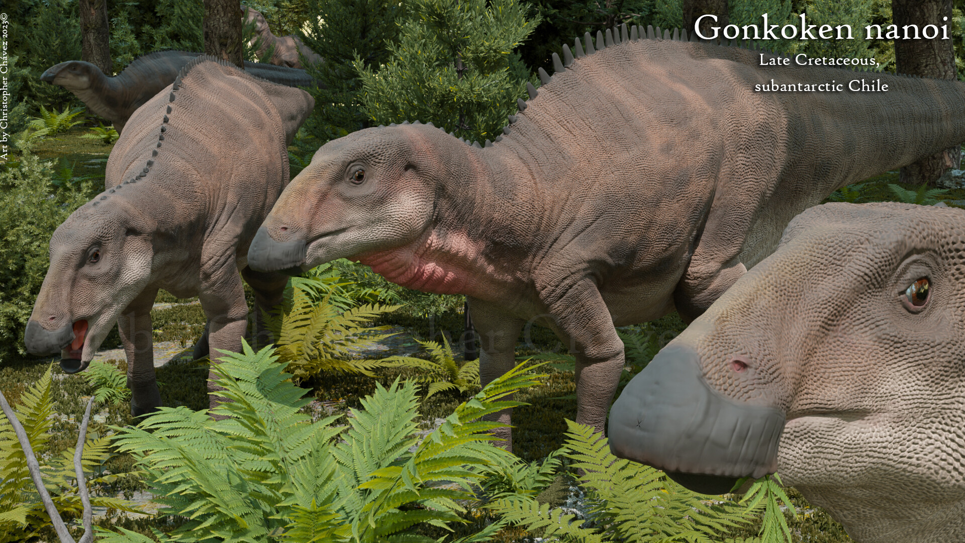 ArtStation - Gonkoken nanoi