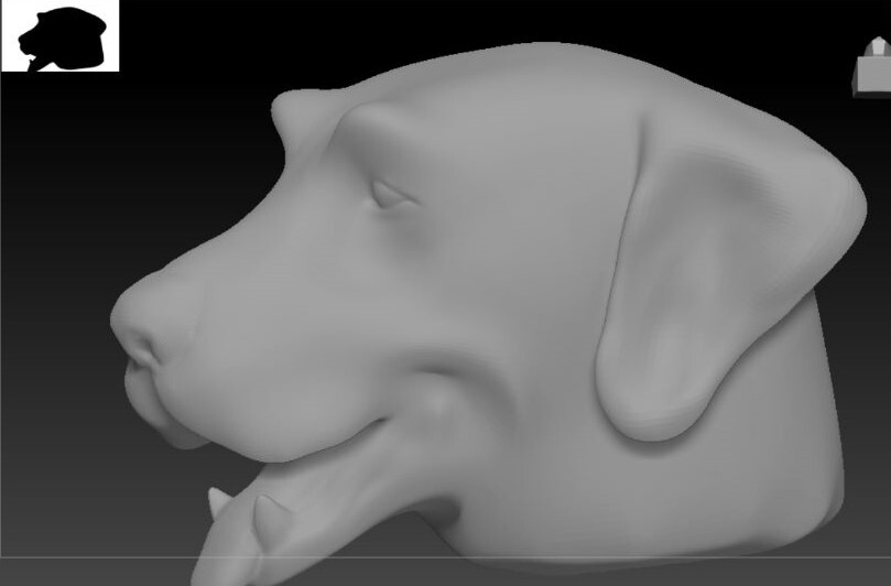 ArtStation - Dog Face _ 3D Model