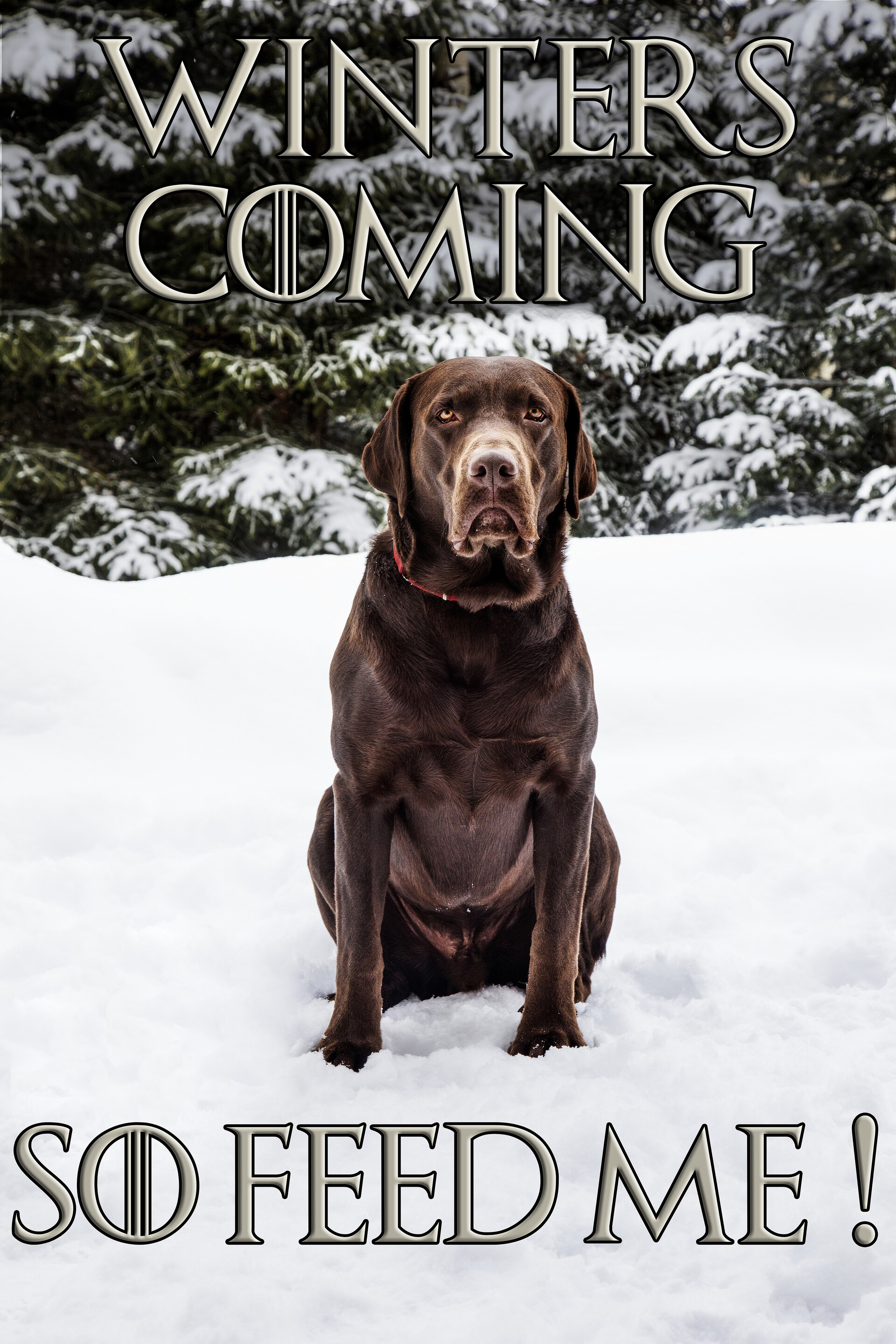 ArtStation - Winter is coming...so feed me!