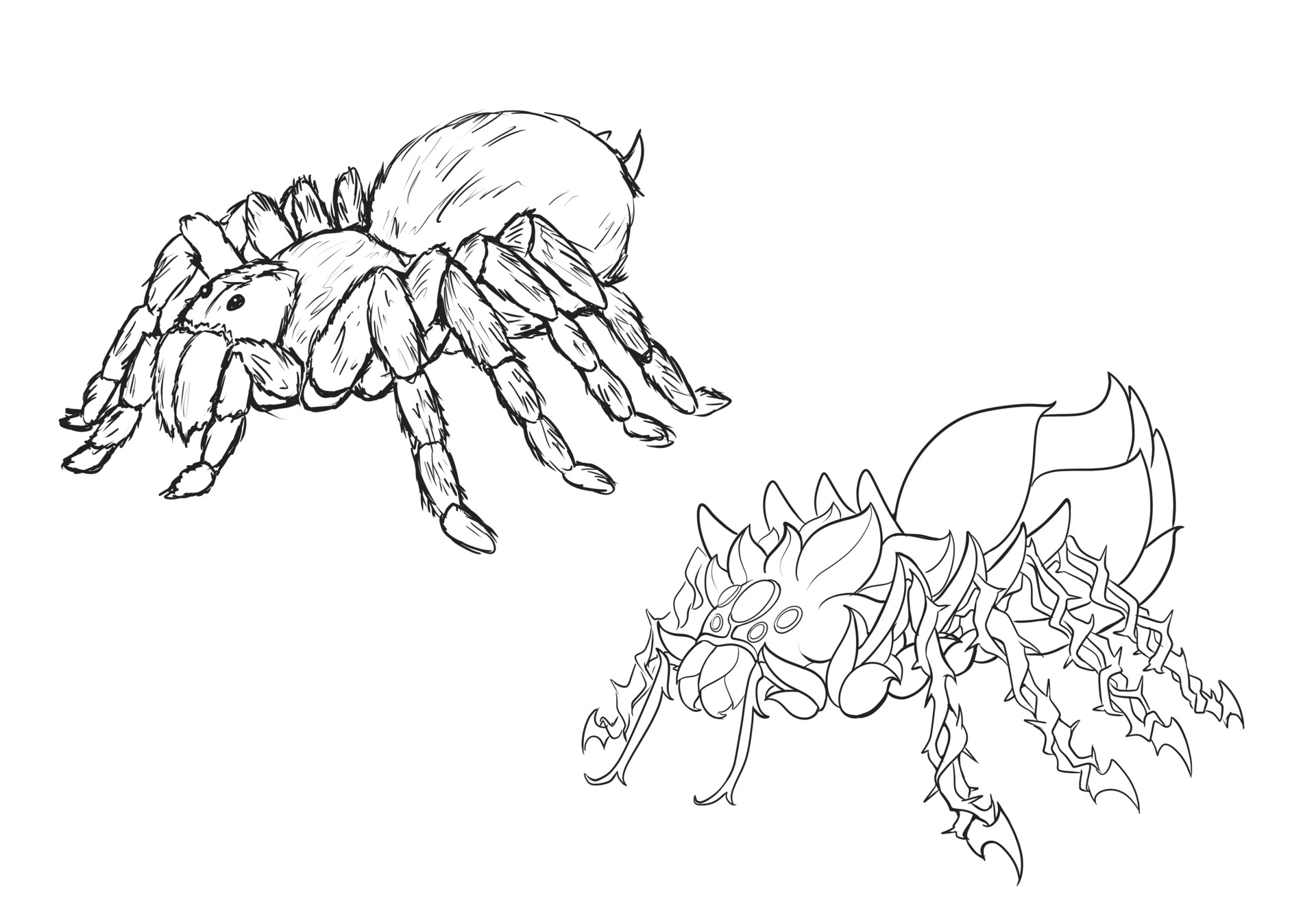 ArtStation - Spider Sketch