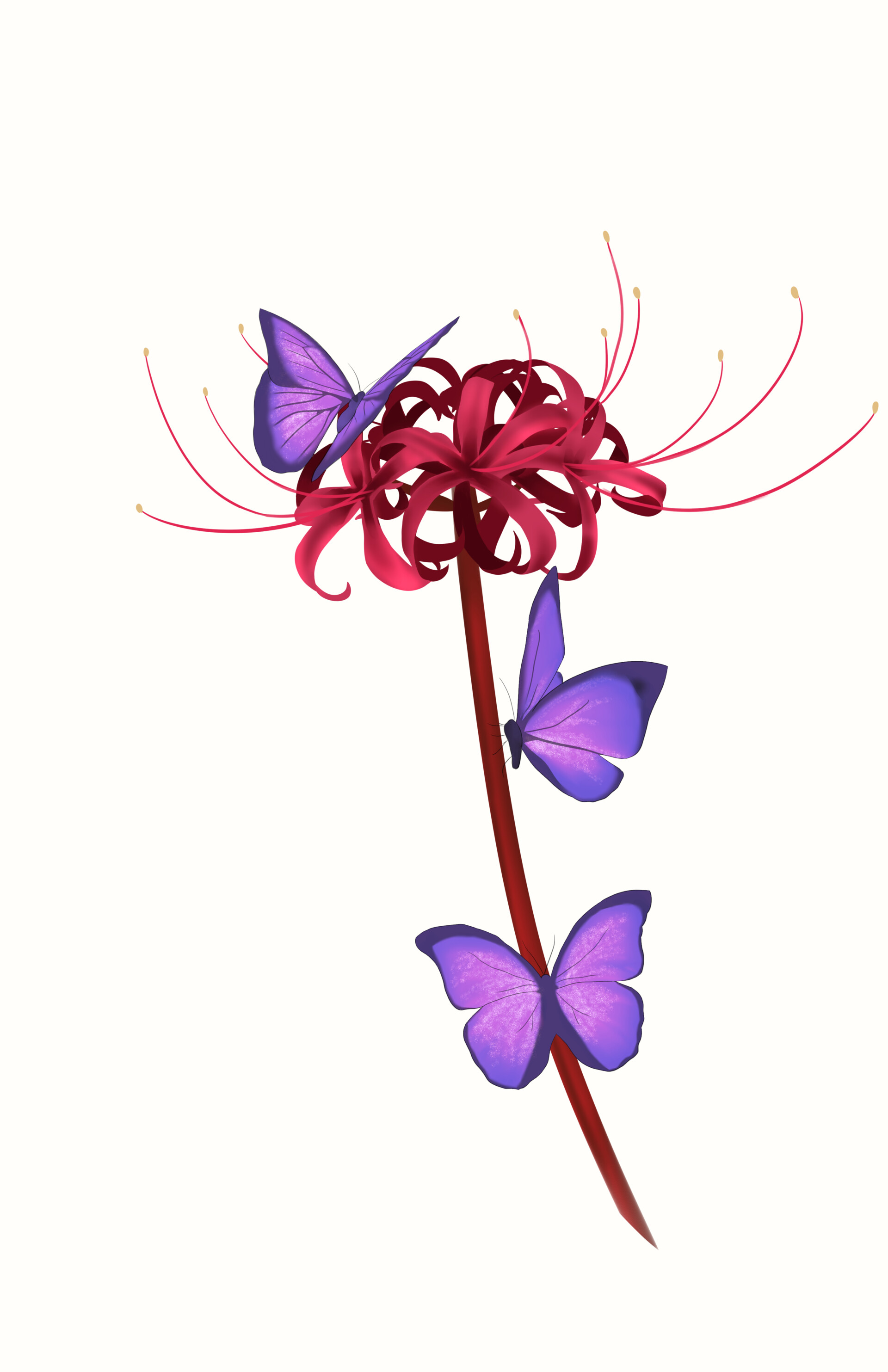 ArtStation - Spider Lily + Morpho