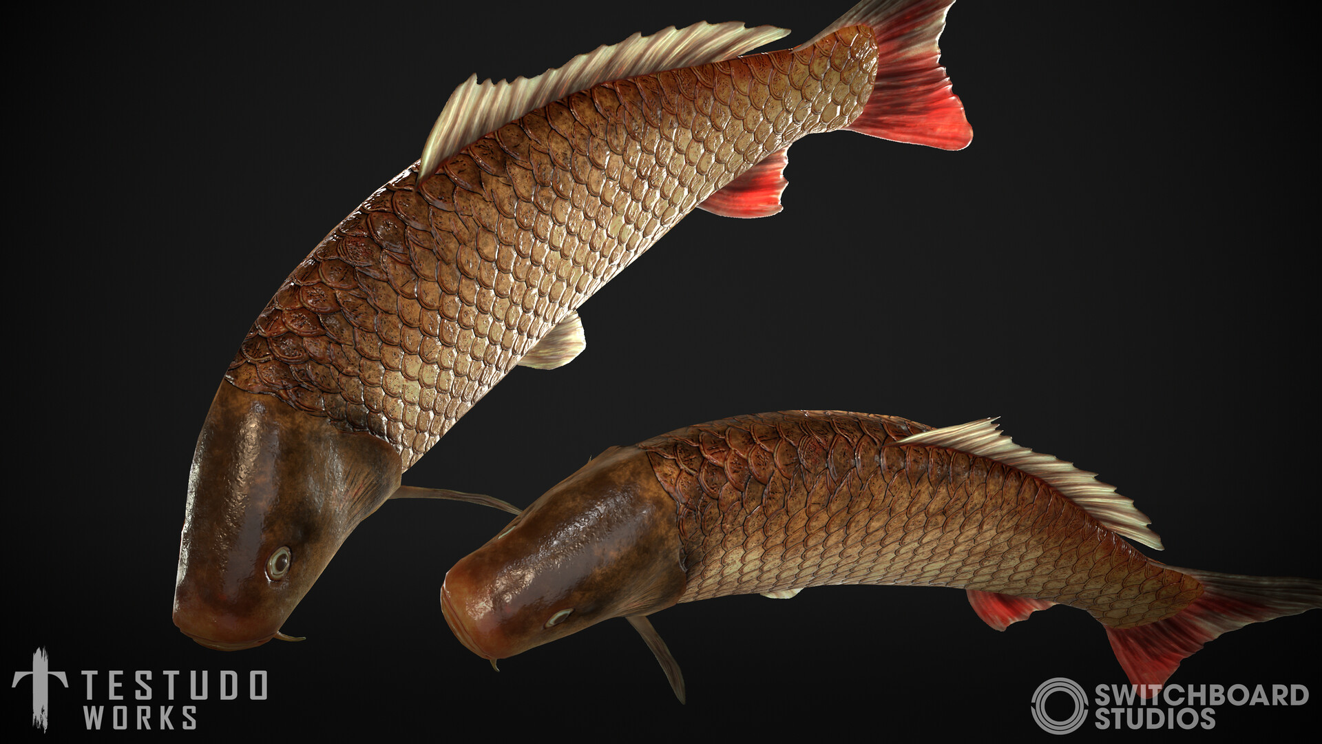 Lim Eric Harianto - Carp Fish - FreshWaterFish Pack