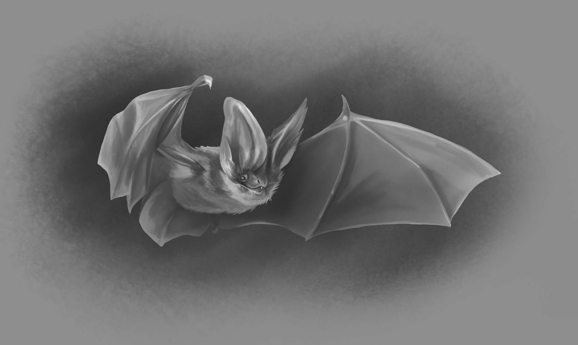 ArtStation - Bat