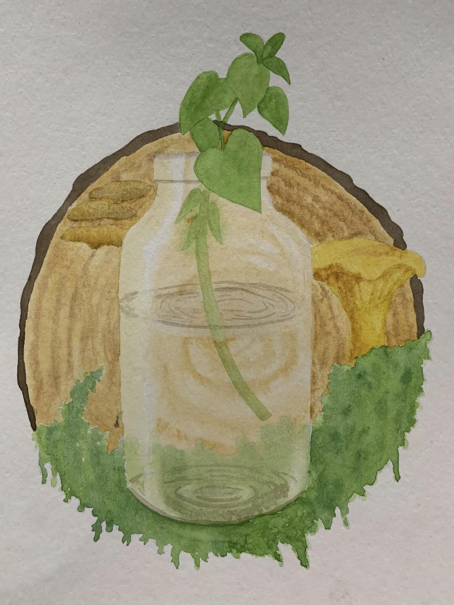 ArtStation - plant jar