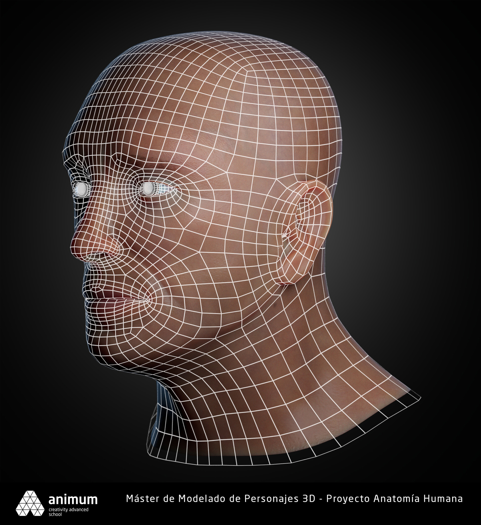 Iker Mendaza Guerra - Textured male bust