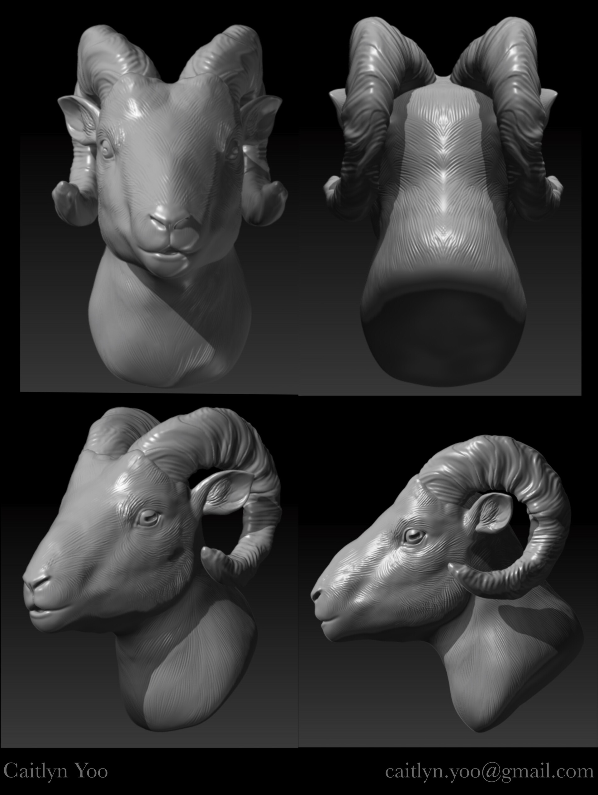 ArtStation - Realistic Goat Sculpt