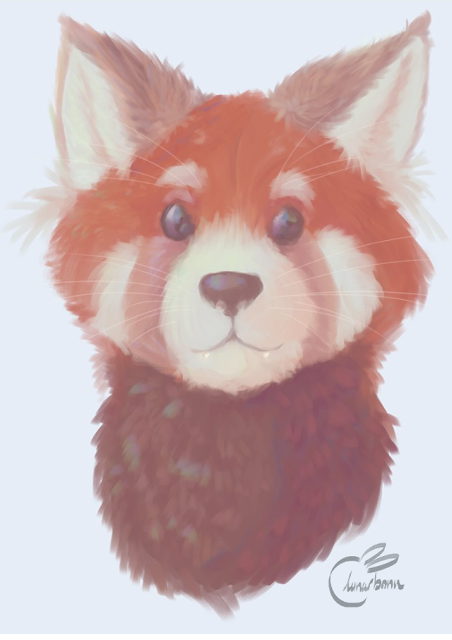 ArtStation - Red Panda