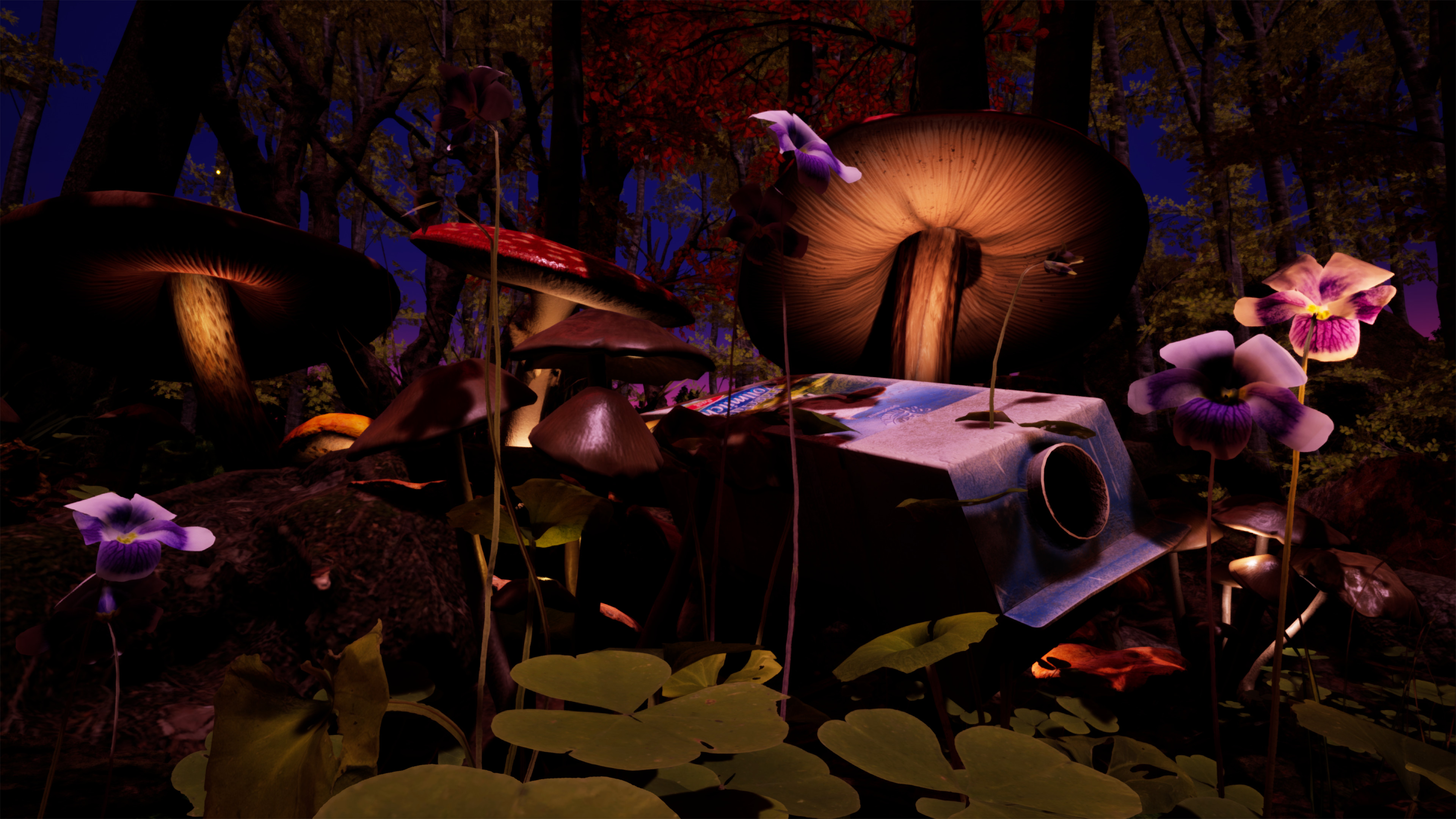 Christian Solis - Mushwood