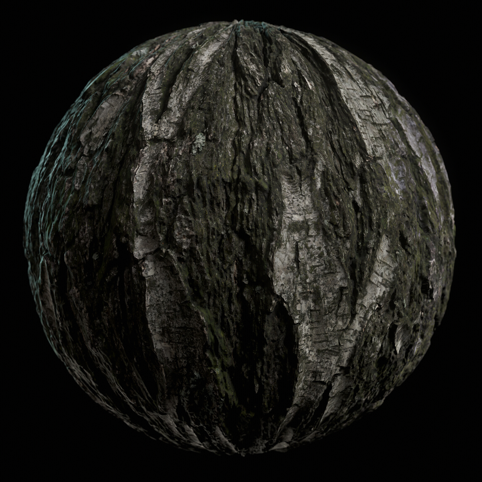 ArtStation - Birch Tree Trunk